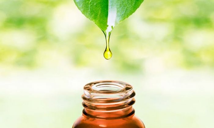 Cool Down The Blaze With Cooling Oils - Be Young Aholic